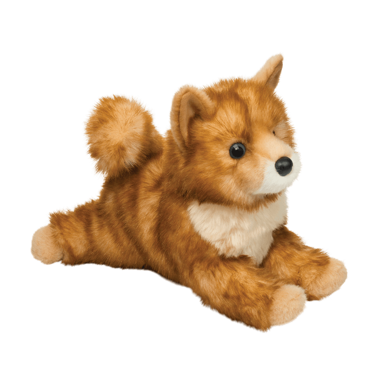 Douglas - Penny Russett Pomsky – Jack + Emmy