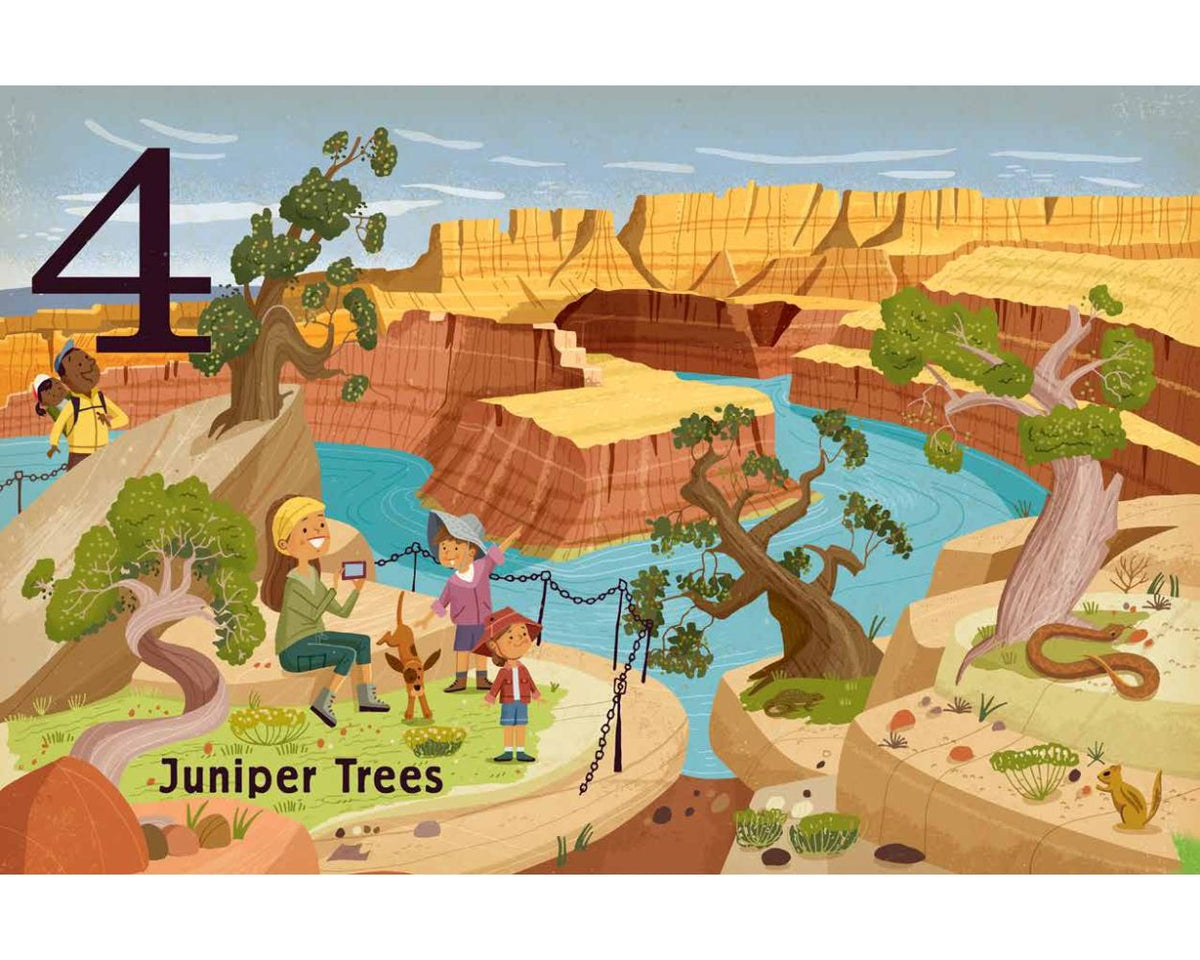 Trees: A Count And Find Primer – Jack + Emmy